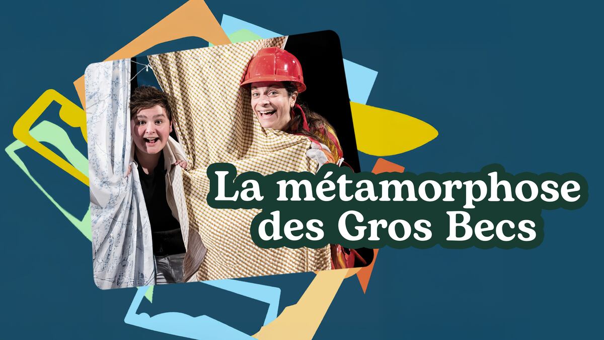 La métamorphose des Gros Becs | Films | ICI TOU.TV